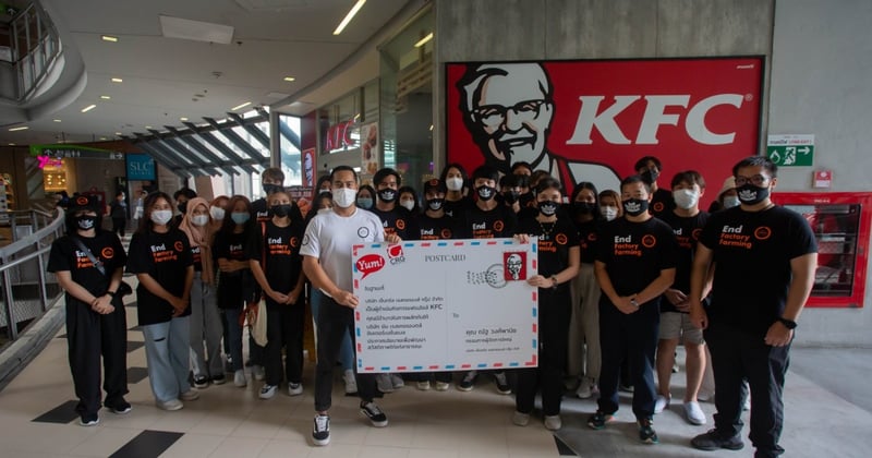 ยื่นแล้ว! จดหมายเร่งกดดัน KFC ยุติการทรมานไก่อย่างเร่งด่วน